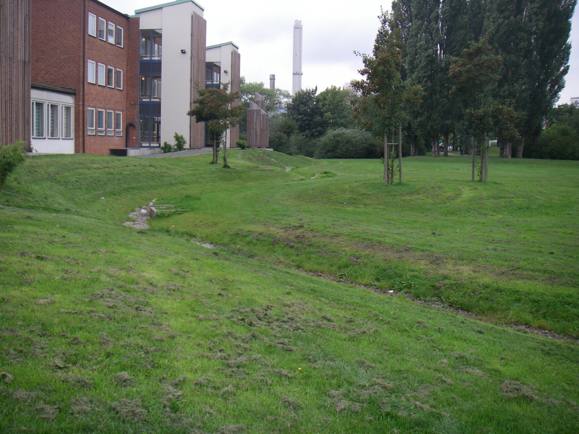 Swales | Abertay University